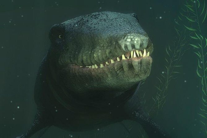 Time Tripper Queenstown - FAQs