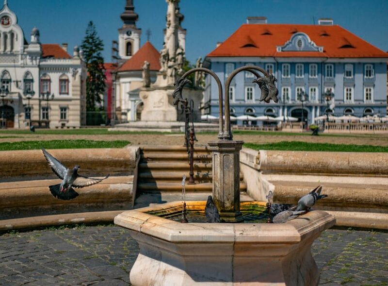 Timisoara: Private Walking Tour with a Local Guide - Final Thoughts