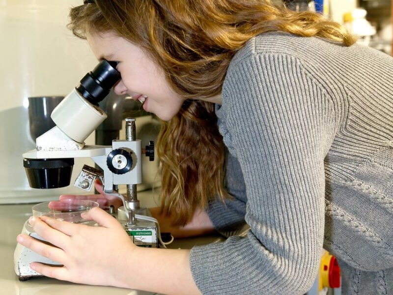 Timmendorfer Strand: SEA LIFE Behind the Scenes Tour - Key Points