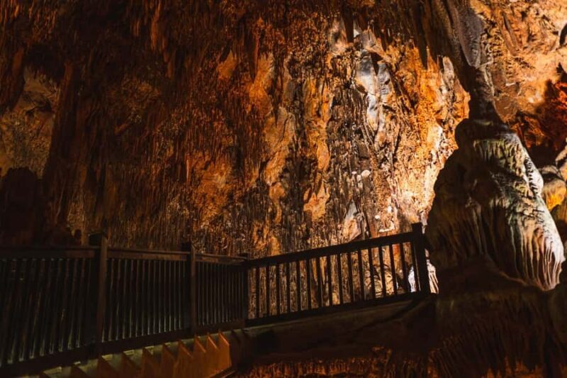 Tingo Maria: Mantle Cave - An In-Depth Look at the Mantle Cave Tour