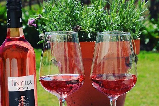 Tintilla Estate: Wine Tasting with a Meat and Cheese Platter - An In-Depth Look at the Experience