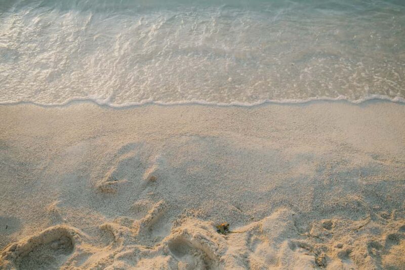 Tirana/Durres: Saranda, Ksamil, Blue Eye & Vjosa River Tour - Key Points  