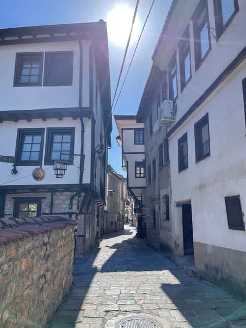 Tirana: Lake and Town Ohrid Day Trip - Who Will Love This Tour?