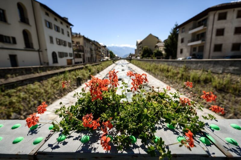 Tirano: Bernina Red Train and Cablecar to Diavolezza Refuge - The Sum Up