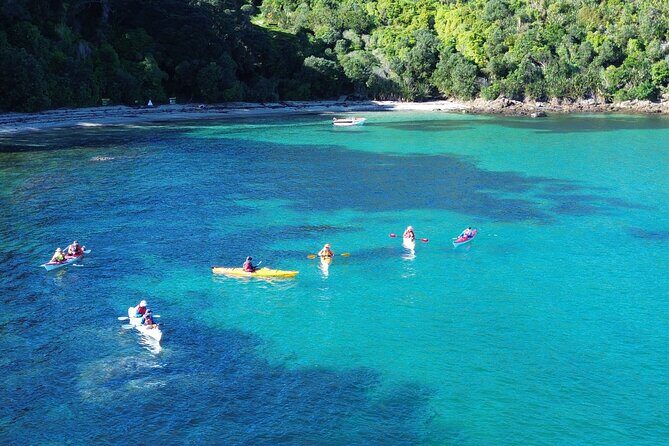 Tiritiri Matangi Sea Kayak Tour - Key Points