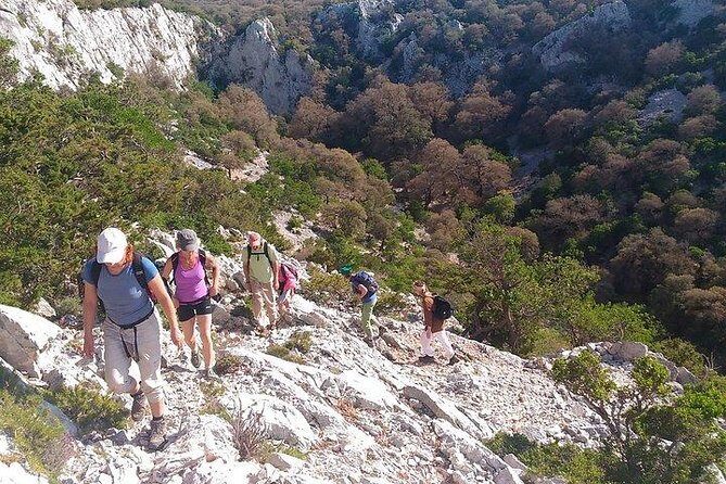 Tiscali mount guided hike - Who Should Consider This Tour?
