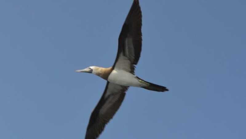 Title: Puerto Vallarta: Marietas Island Adventure - The Sum Up
