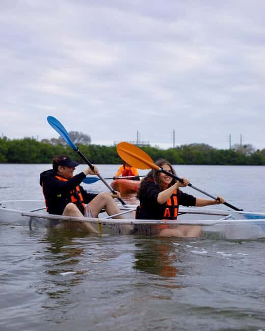 Titusville: Bioluminescent Clear Kayak Tour - Key Points
