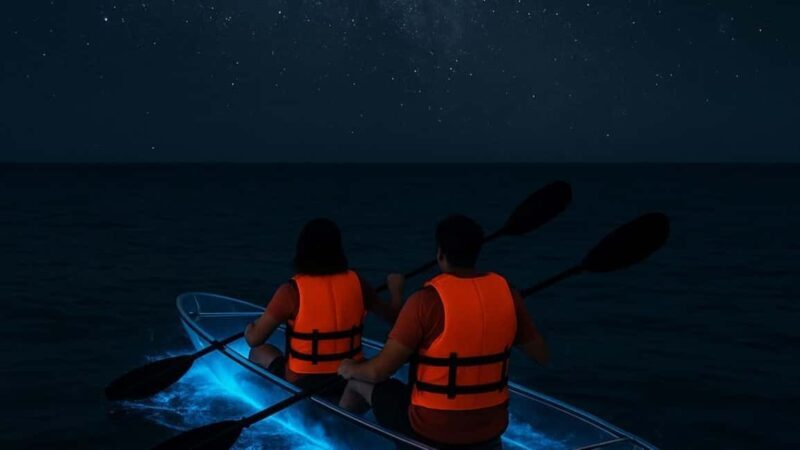 Titusville: Bioluminescent Clear Kayak Tour - The Experience: Light, Nature, and Expert Guidance