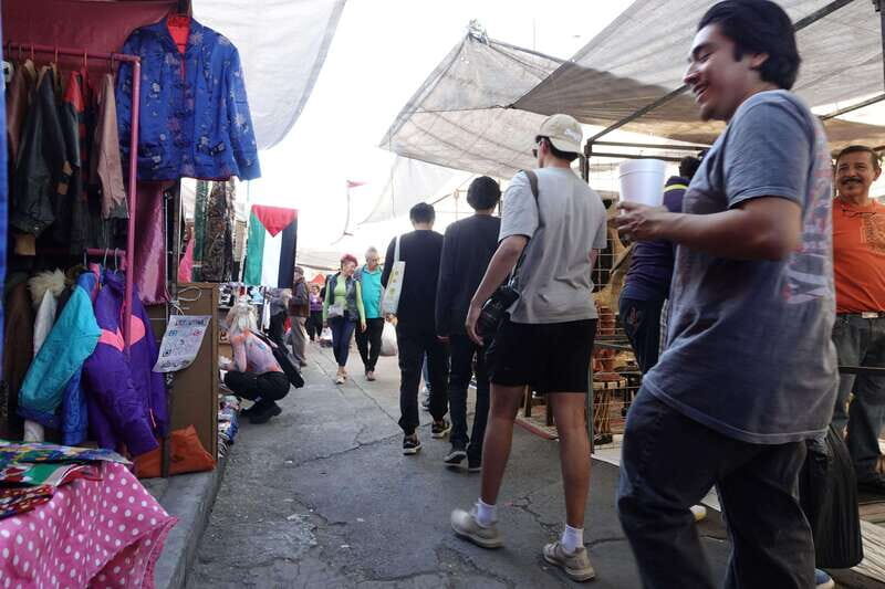 Tlatelolco and La lagunilla Market Mexico City Walking tour - Introduction: Why This Tour Could Be Your Next Favorite Experience