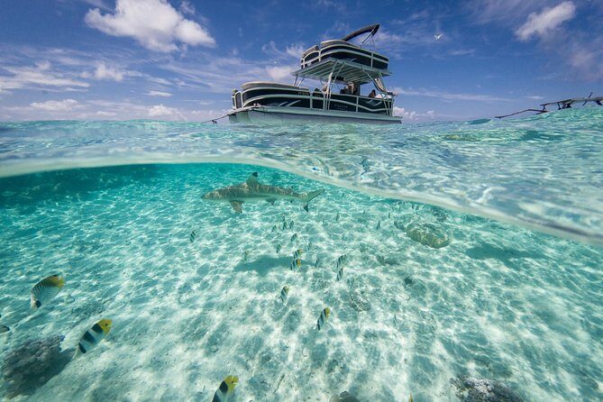 Toa Boat Bora Bora Private Lagoon tour On Ambassador Boat - Practical Details and Tips
