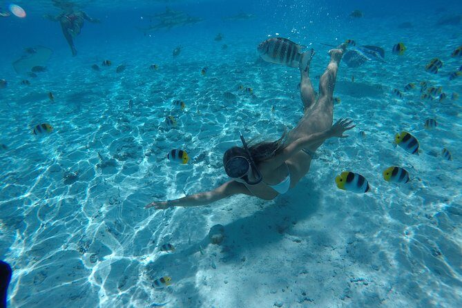 Toa Boat Bora Bora Private Lagoon tour On Ambassador Boat - The Sum Up