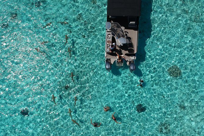 Toa Boat Bora Bora Private Lagoon Tour On Entertainer Bar Boat - An In-Depth Look at the Lagoon Tour Experience