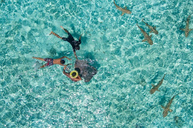 Toa Boat Bora Bora Private Lagoon tour with Lunch On Majestic Pontoon Boat - Who Should Consider This Tour?