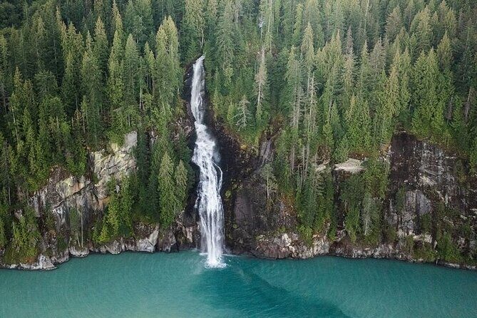 Toba Bears and Wilderness Grizzly Bear Viewing in Campbell River - Detailed Review of the Toba Bears and Wilderness Experience