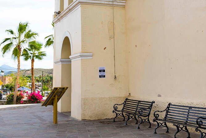 Todos Santos City Tour - What to Expect from the Todos Santos City Tour  