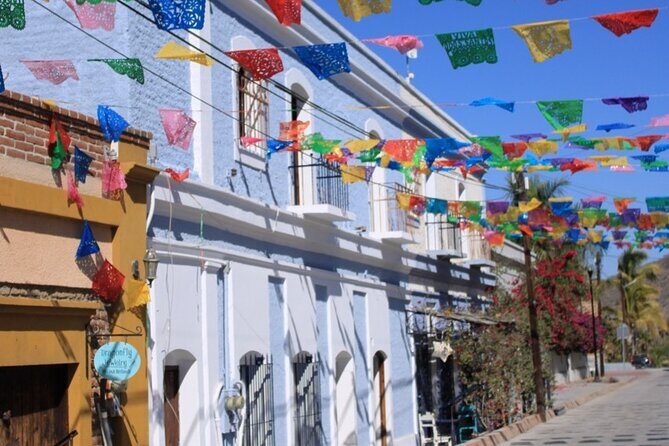 Todos Santos Day Trip from Cabo on Art History and Culinary - What Travelers Love and Not