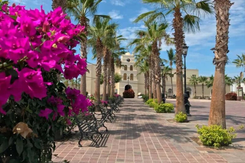 Todos Santos Encounter Tour - FAQs