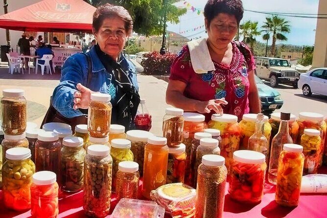 Todos Santos Magical Town Day-Trip - Final Thoughts