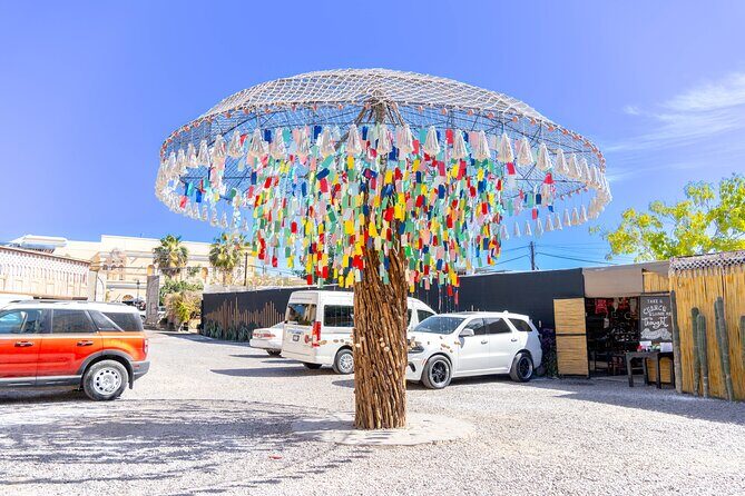 Todos Santos Tequila Tasting and Cultural Tour - The Sum Up