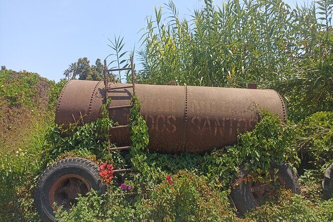 Todos Santos Treasure Hunt - Exploring the Details of the Tour