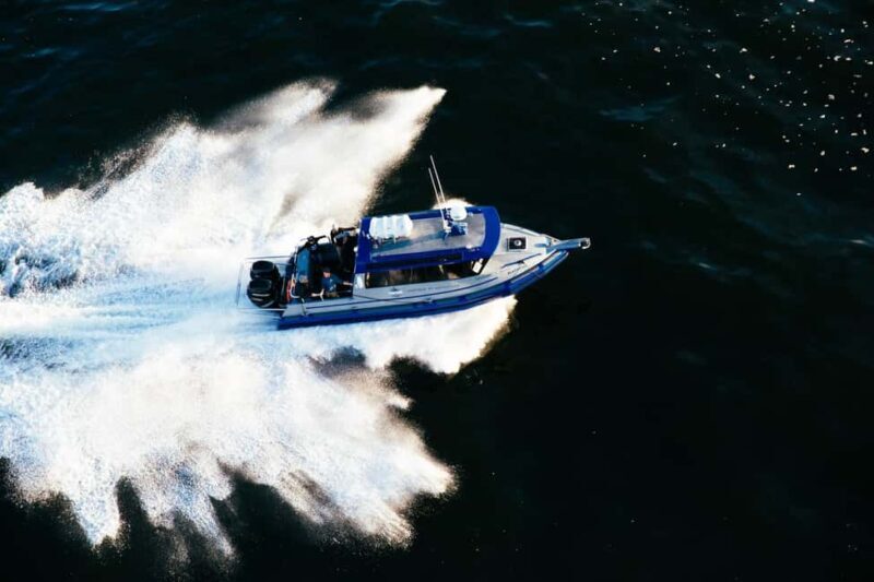 Tofino: Covered Boat Winter Wildlife Watching Tour - Who Will Love This Tour?