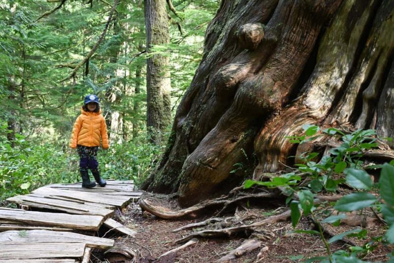 Tofino: Private Boat Tour with Big Tree Trail & Crabbing - Key Points  