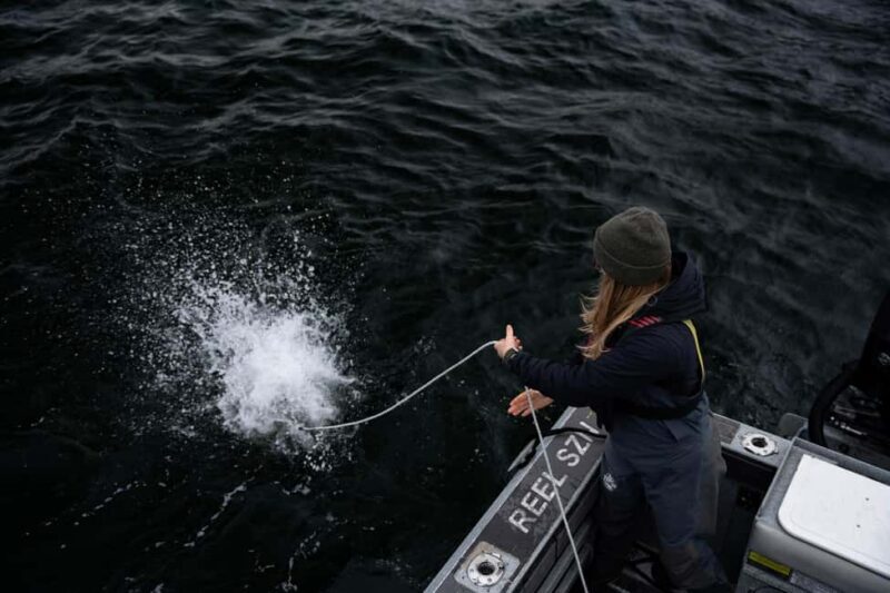 Tofino: Private Boat Tour with Big Tree Trail & Crabbing - The Overall Experience: Who Will Love It?