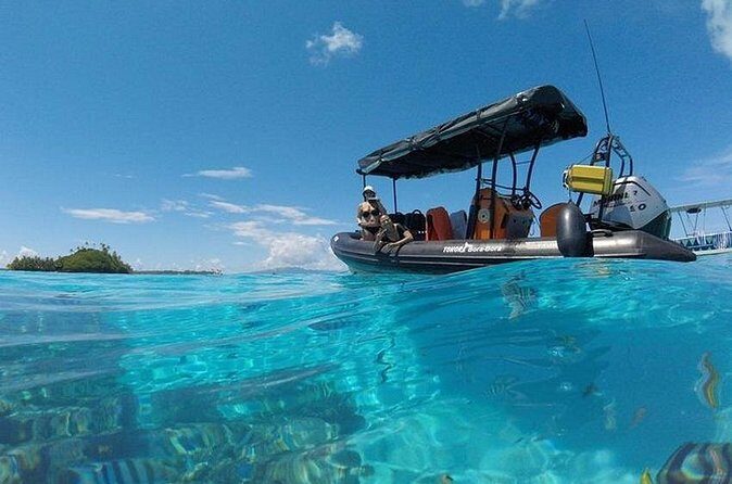 Tohora Bora Bora Snorkeling Lagoon Tours - Practical Considerations