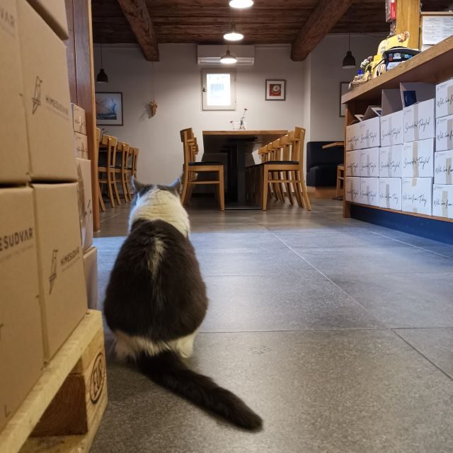 Tokaj: Classic Wine Tasting - FAQ