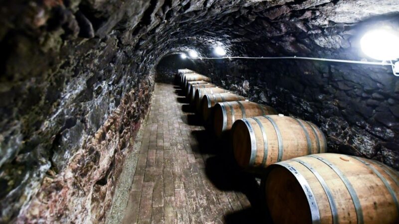 Tokaj: Vineyard Tour & Tasting - Key Points