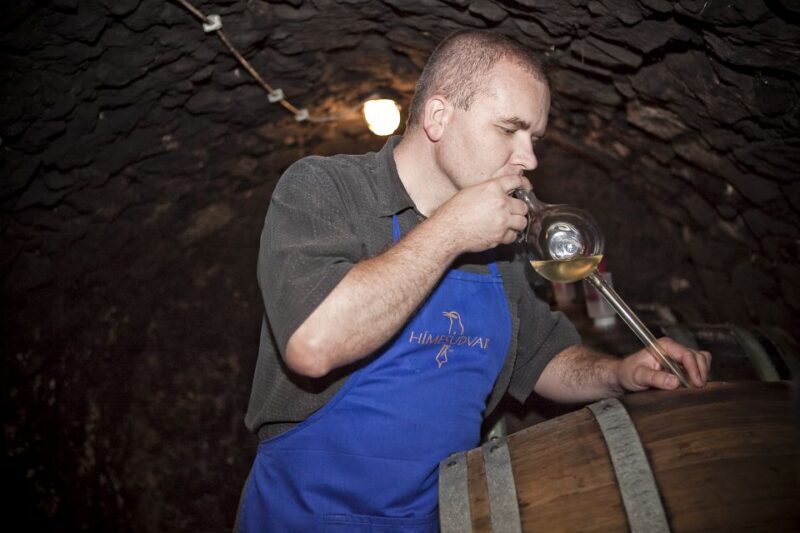 Tokaj: Vineyard Tour & Tasting - Discovering Tokaj: Why This Tour Stands Out