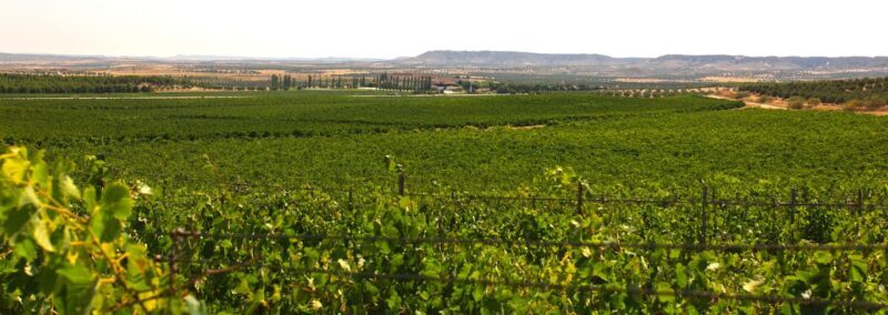 Toledo: Casa del Valle Winery Tour and Wine Tasting - A Closer Look at the Casa del Valle Winery Tour and Wine Tasting
