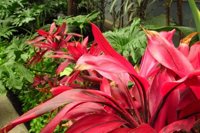 Toluca and Pueblo Mágico de Metepec from Mexico City - Who Is This Tour Best For?