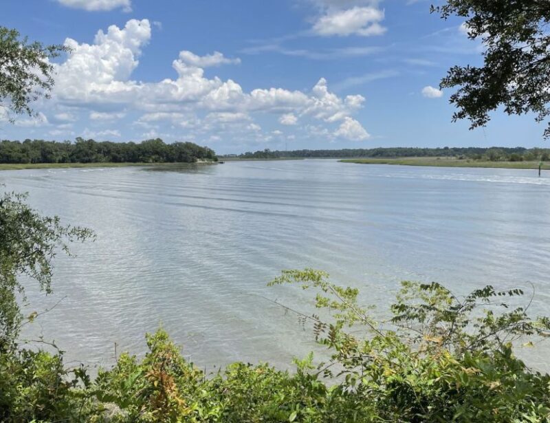 Tombs of Savannah: Bonaventure Cemetery Experience - Key Points