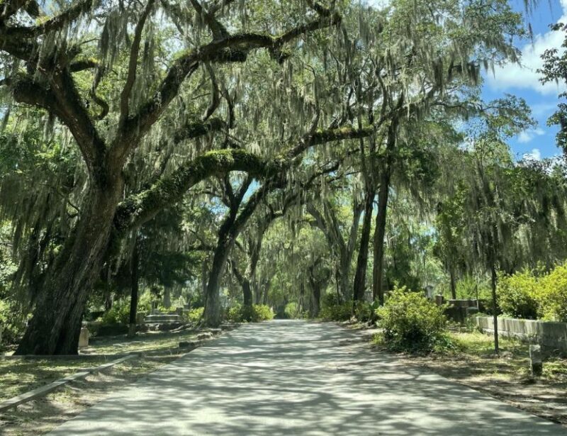 Tombs of Savannah: Bonaventure Cemetery Experience - Who Is This Tour Best For?