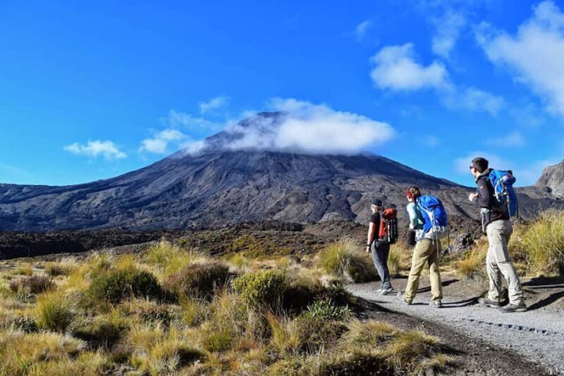 Tongariro Alpine Half Day Guided Group Walk - A Closer Look at the Itinerary
