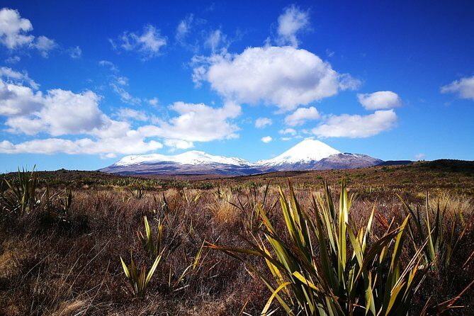 Tongariro Discovery Walk - Why this tour is a great choice