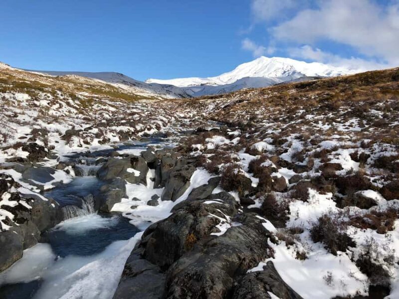 Tongariro National Park: Pre-Sunset Guided Walking Tour - How This Tour Compares to Others