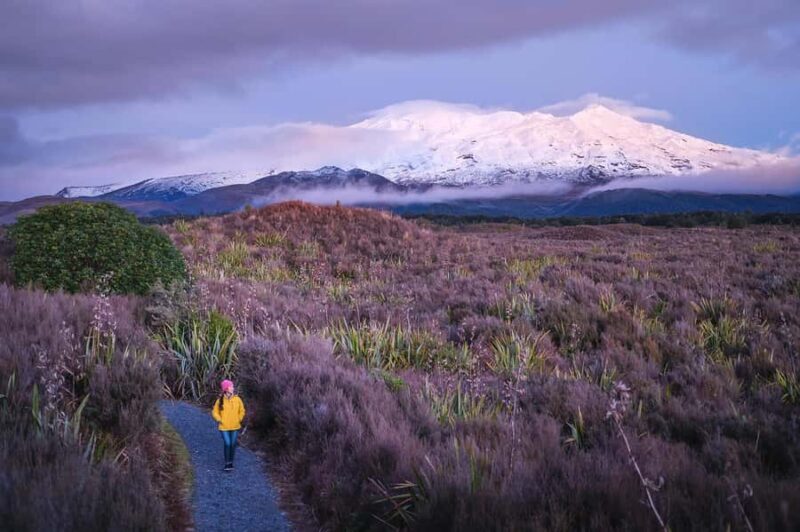 Tongariro National Park: Pre-Sunset Guided Walking Tour - Why You Should Consider This Tour
