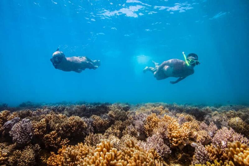 Tongarra: All-Inclusive Day Sail - Practical Details: Pricing, Duration, and Booking Tips