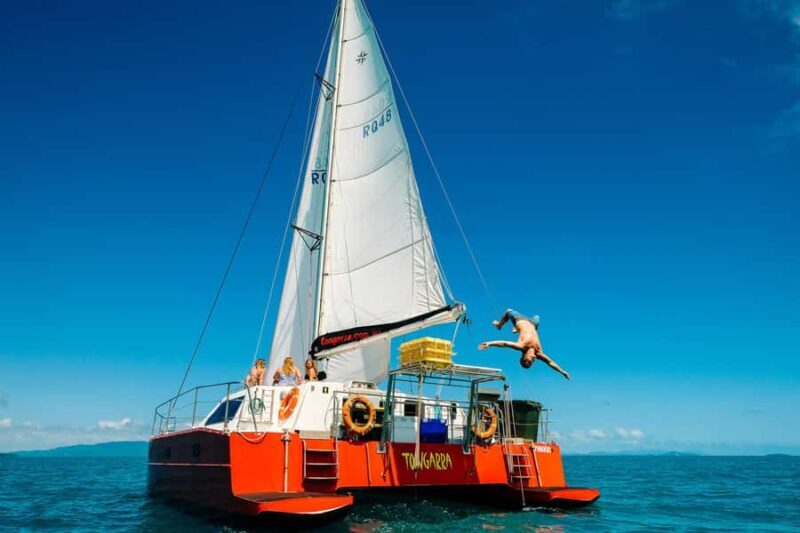 Tongarra: All-Inclusive Day Sail - Who Will Love This Tour?