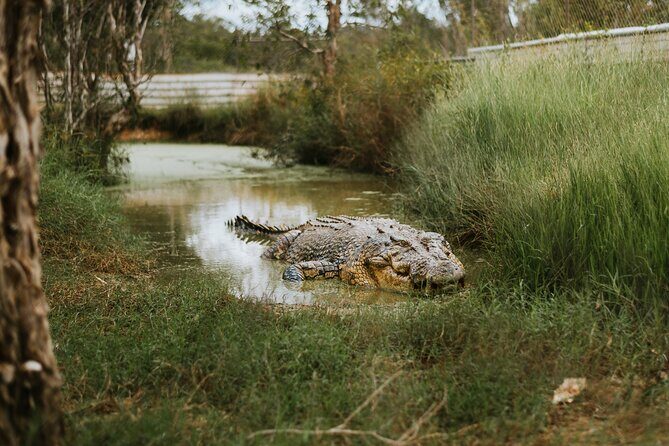 Top End Safari Camp Day Tour - Final Thoughts