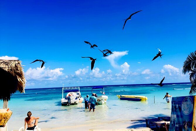 Top Experience: Costa Maya All Inclusive El Faro Beach Club - Introduction