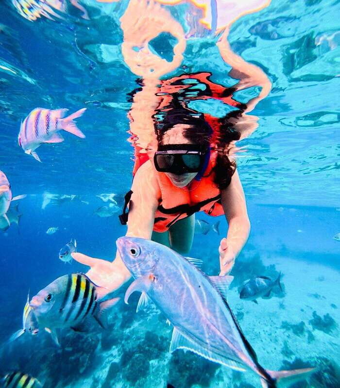 Top Experience: Snorkel & Beach Club All Inclusive / Open Bar & Lunch - Top Experience: Snorkel & Beach Club All Inclusive / Open Bar & Lunch