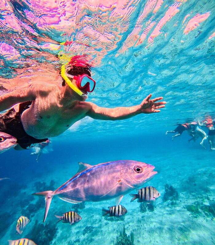 Top Experience: Snorkel & Beach Club All Inclusive / Open Bar & Lunch - Who Is This Tour Best For?