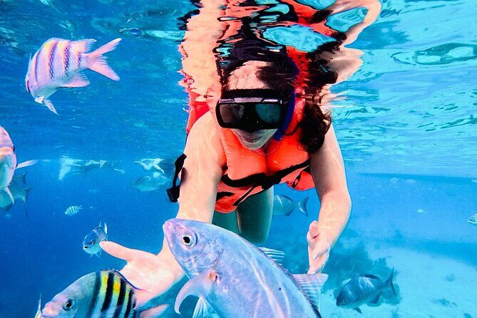 Top Experience: Snorkel Tour & All Inclusive Beach Club - Introduction