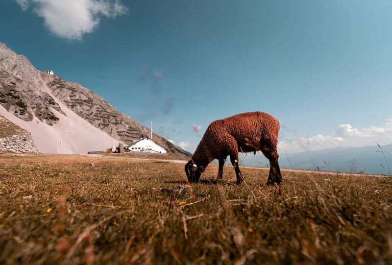 Top of Innsbruck: Roundtrip Cable Car Ticket - Exploring the Journey: What to Expect