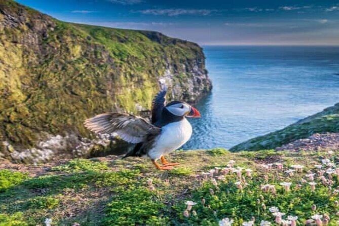 Top Of The Highlands Tour: John O' Groats, Caithness and More - The Sum Up