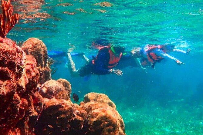 Top Snorkeling Experience in Puerto Morelos Reef - The Sum Up: Is It Worth It?
